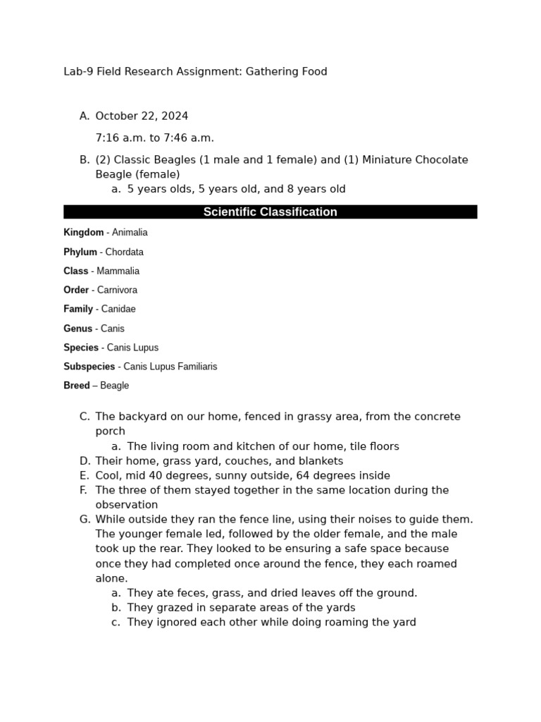 Beagle Behavior and Feeding Observation | PDF