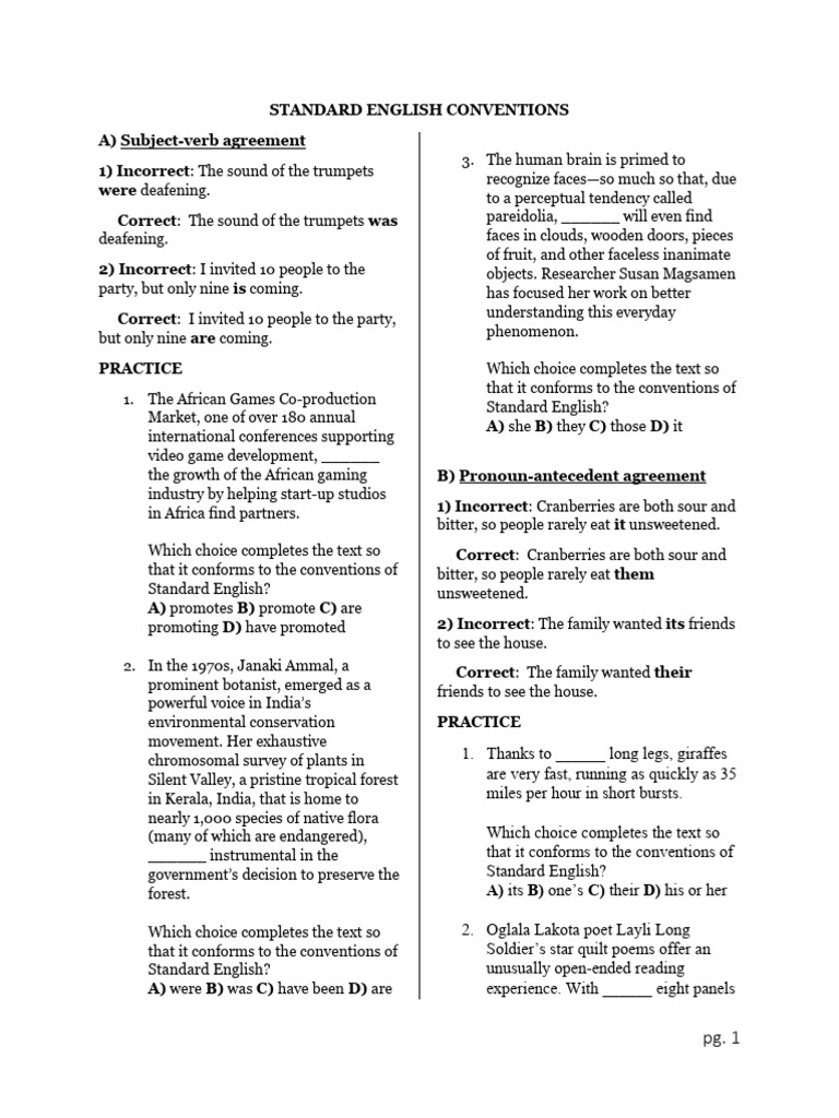 Standard English Conventions | PDF