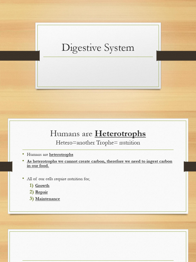 1 Digestive System | PDF | Stomach | Digestion