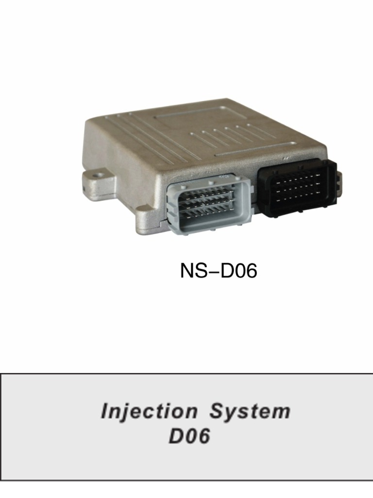 D06 | PDF | Fuel Injection | Electrical Connector