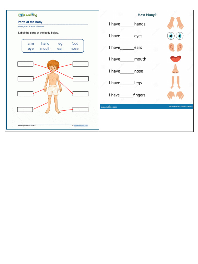 Body Parts | PDF