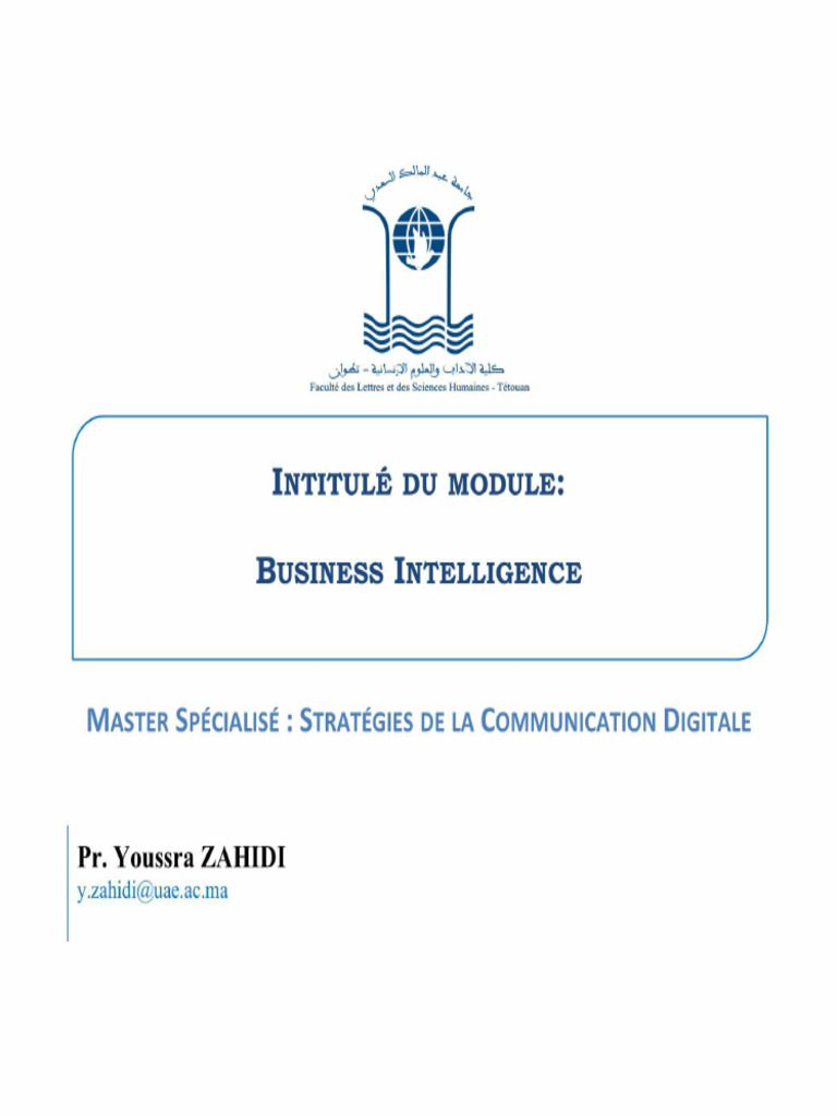 Business Intelligence | PDF