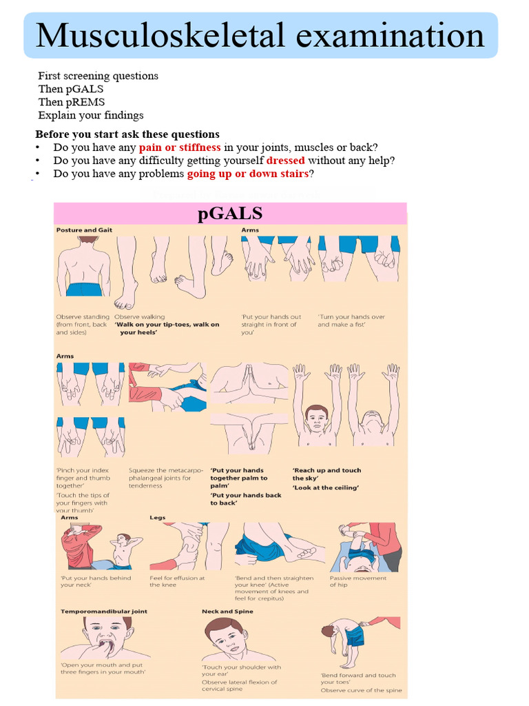 5 MSK Examination | PDF
