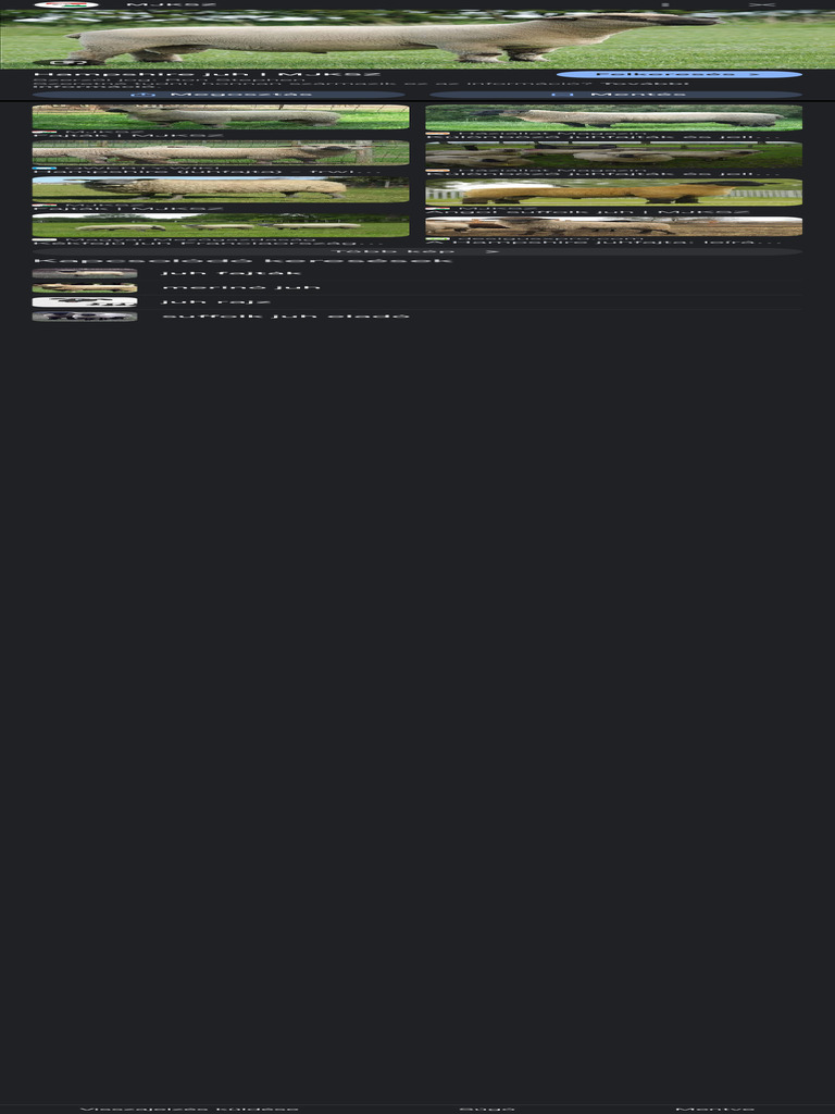 Juh - Google-Keresés | PDF