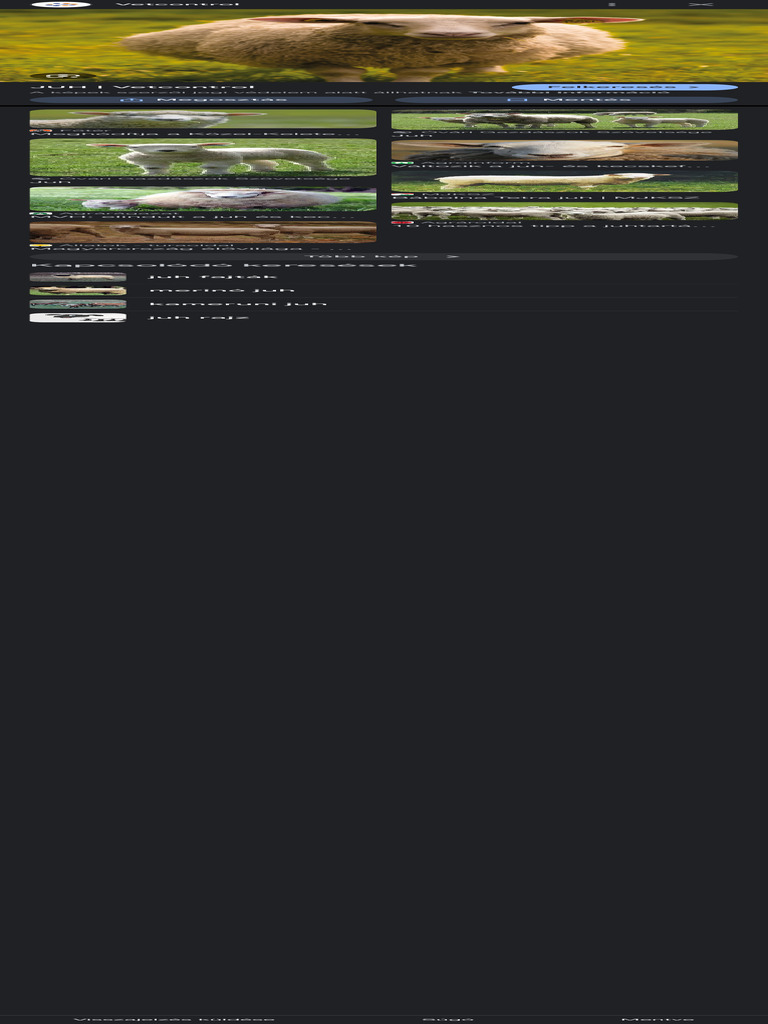 juh - Google-keresés 2 | PDF