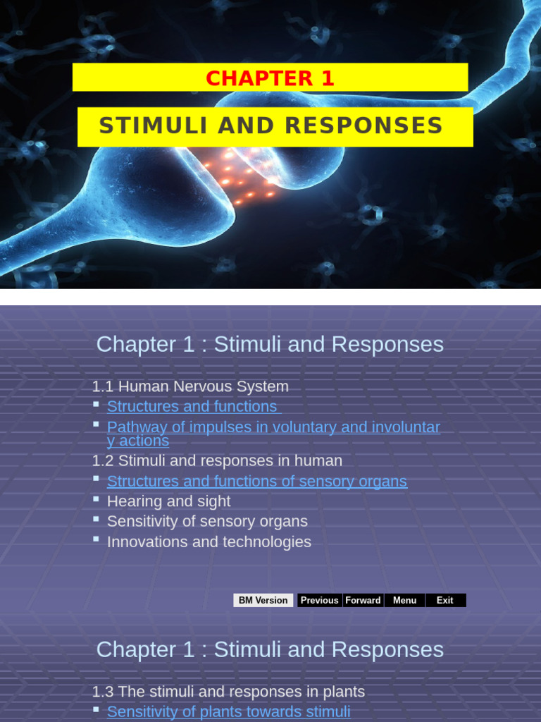 Understanding Stimuli and Responses | PDF | Senses | Stimulus (Physiology)