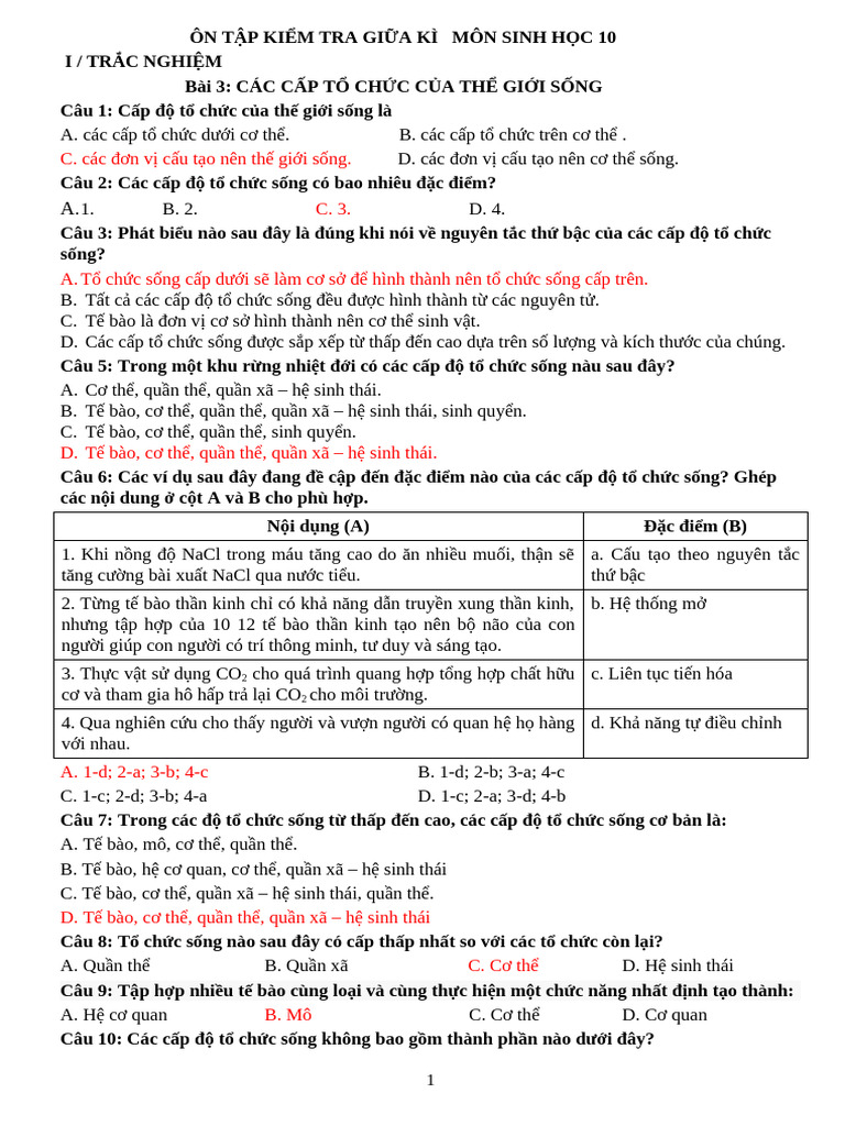 ÔN GIŨA KÌ LỚP 10 HK 1 22 23 | PDF