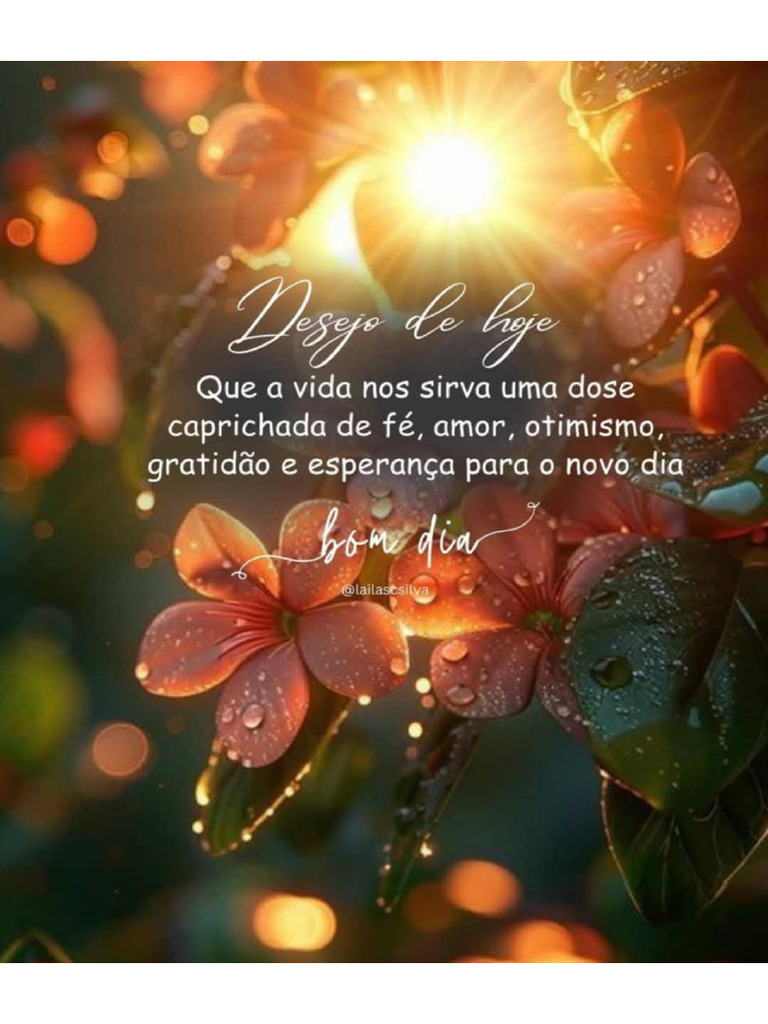 PDFReader 20241231 2317 | PDF