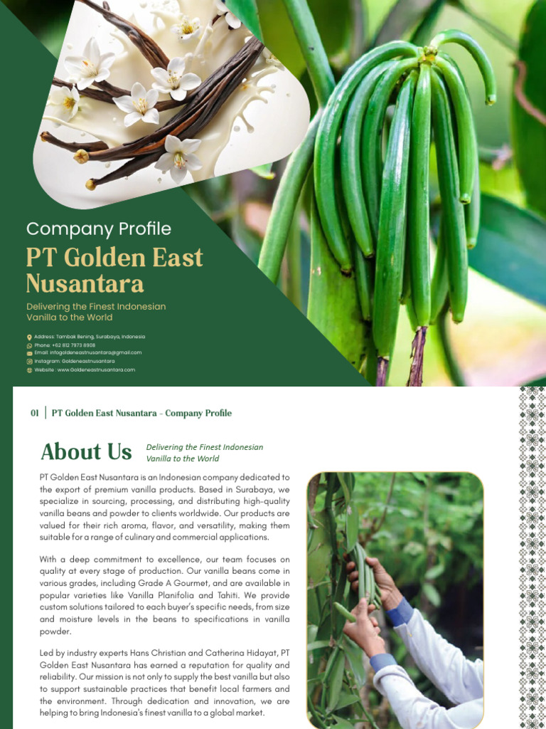 COMPRO PT Golden East Nusantara | PDF | Vanilla
