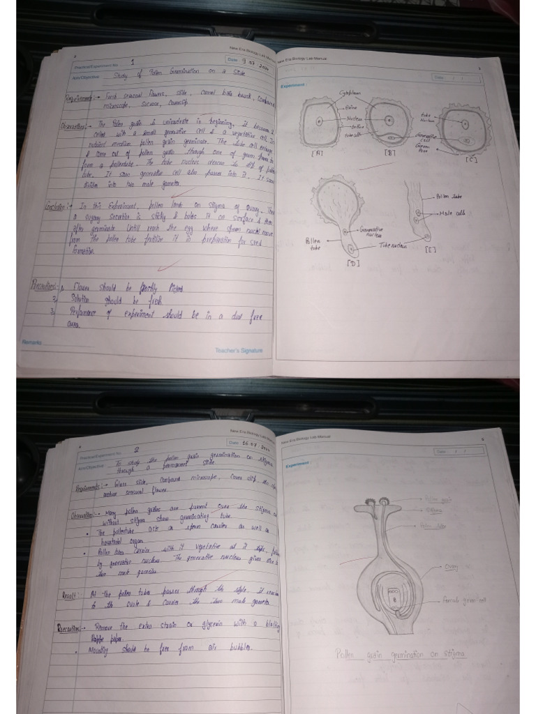 Biology Lab Manual | PDF