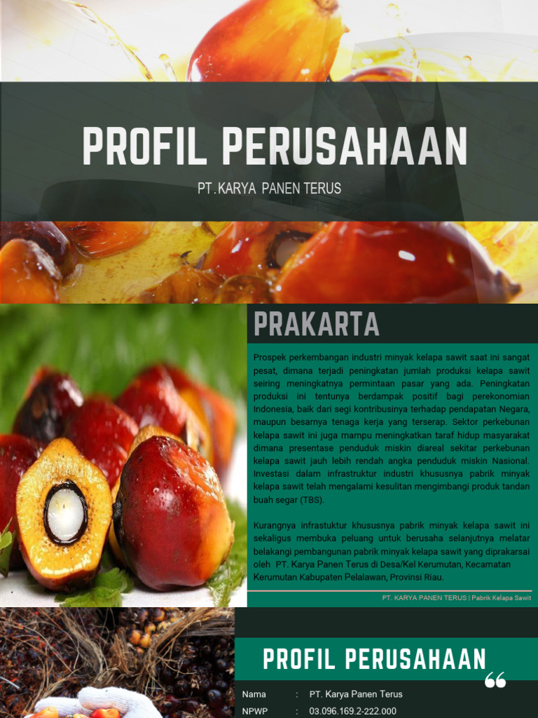 Profil Perusahaan - PT KPT | PDF