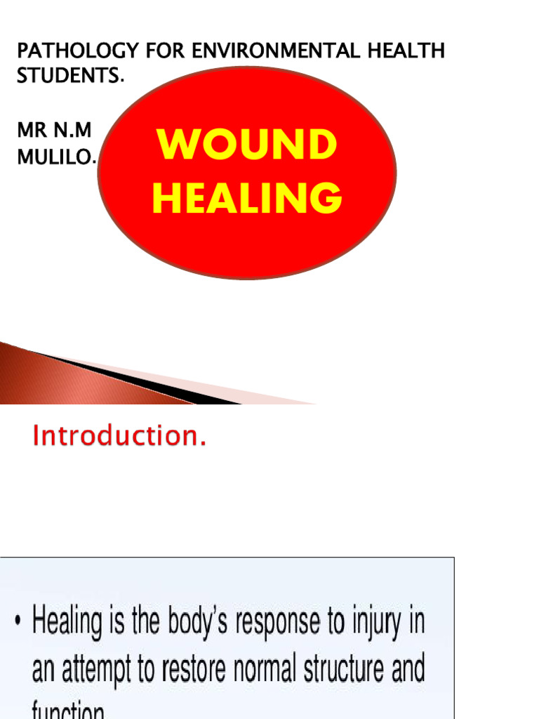 Wound Healing Pathology Overview | PDF | Wound Healing | Healing
