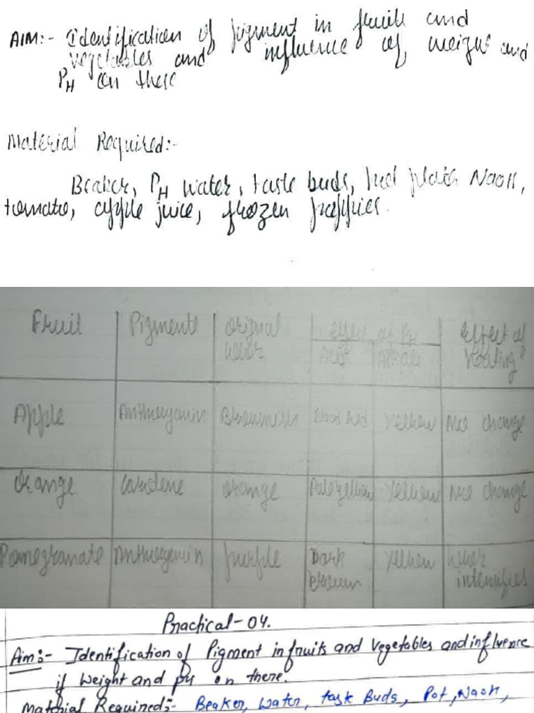 Diksha Rana Practical 4 | PDF