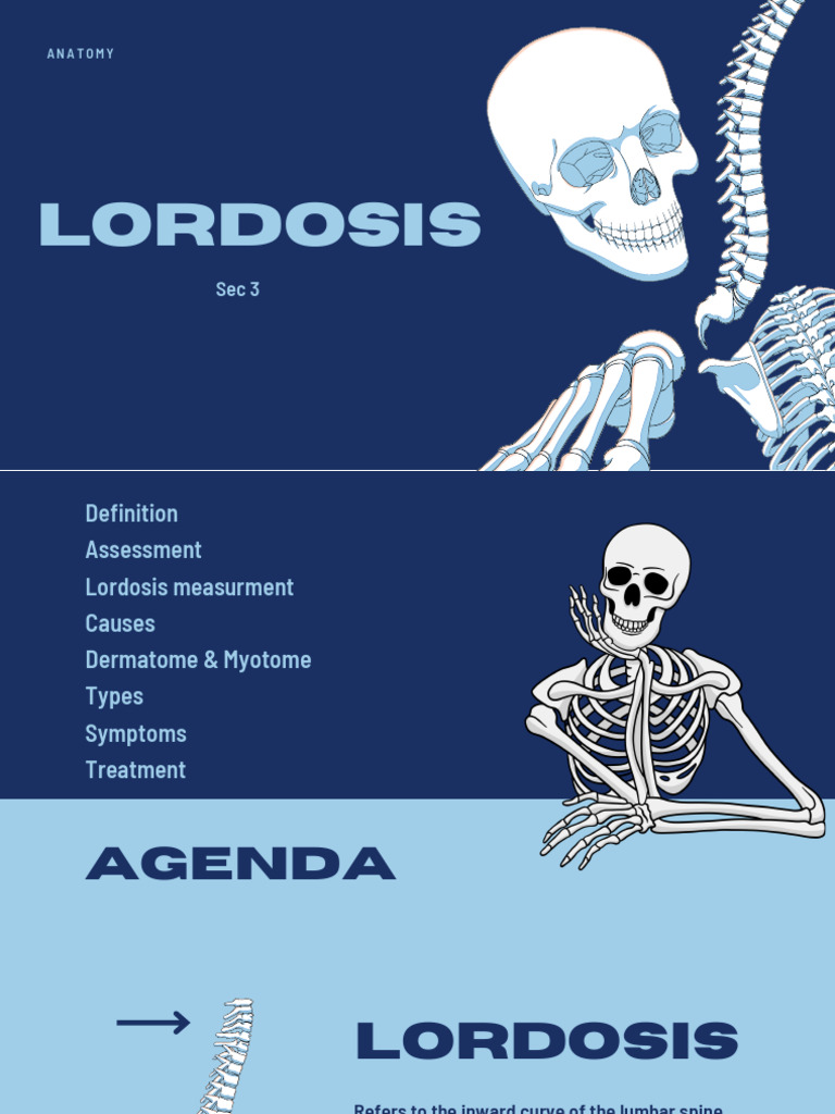 Anatomy Lordosis 2 | PDF | Anatomical Terms Of Motion | Vertebral Column