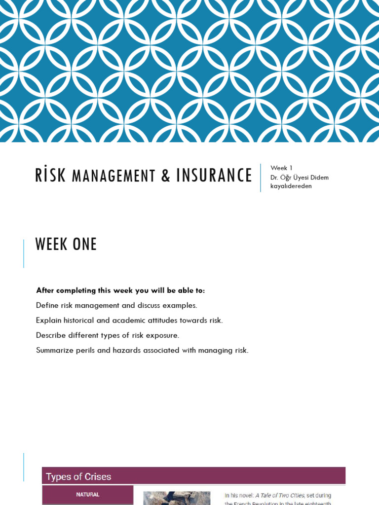 Risk Management Basics Overview | PDF