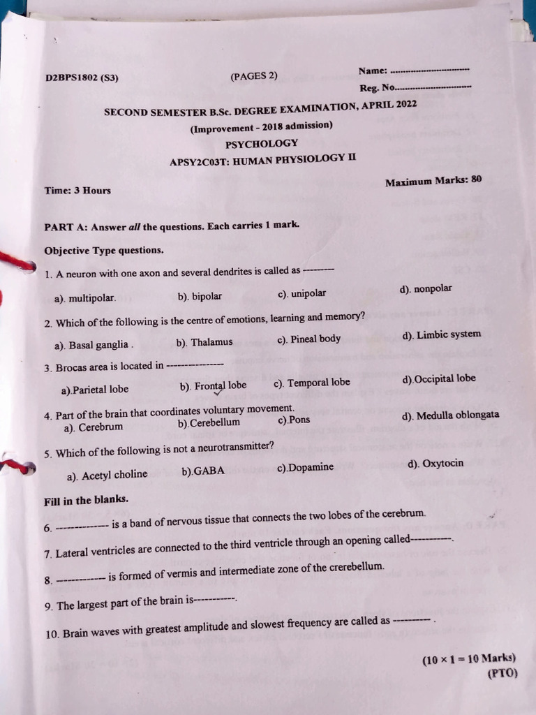 BSC Psychology | PDF