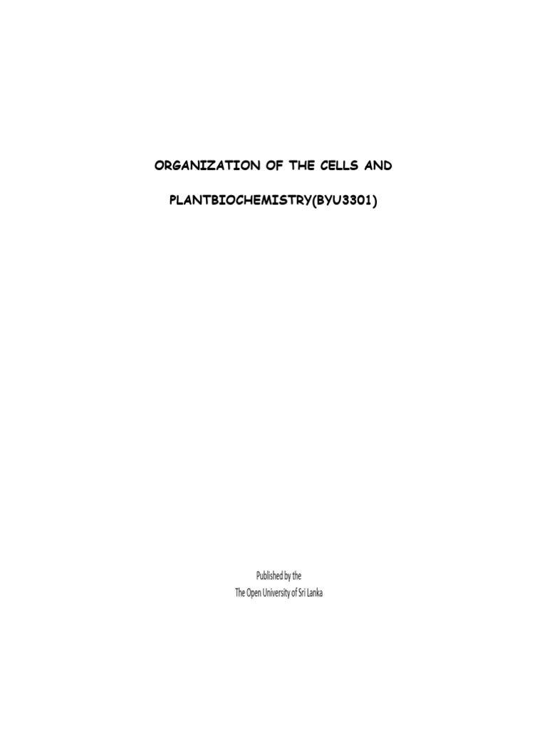 BYU 3301 Practical Manual 2021 | PDF