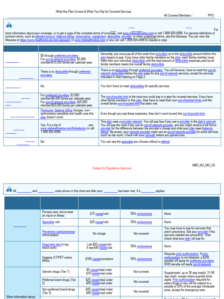 Bs Ppo | PDF | Deductible | Surgery