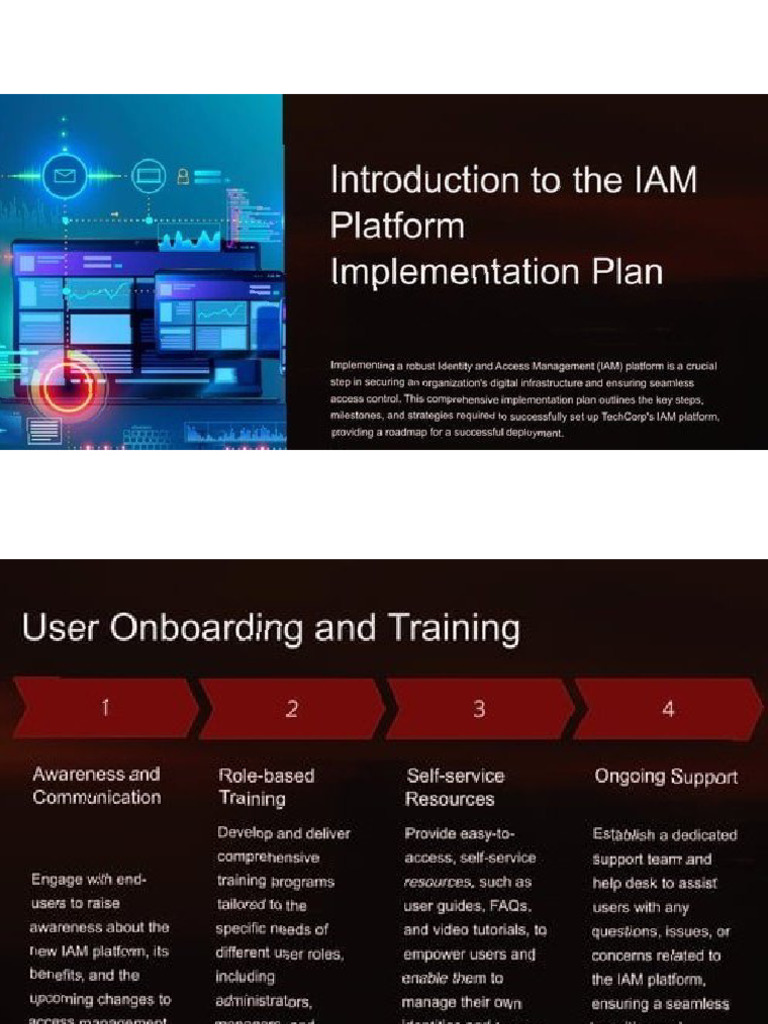 Implementing Plan for IAM | PDF