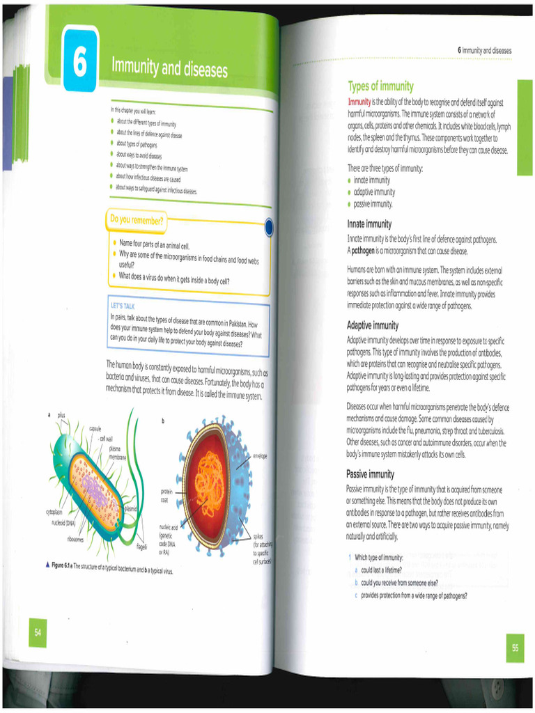 Immunity & Diseases | PDF