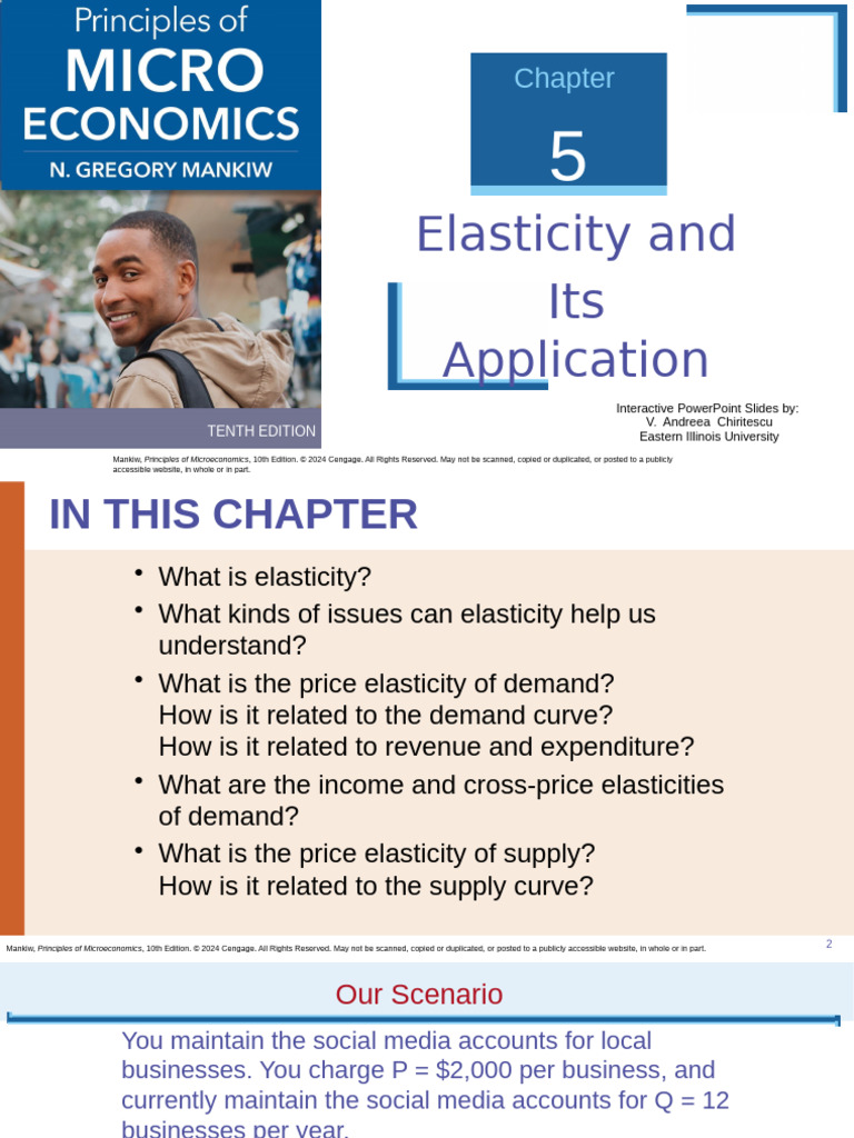 Interactive CH 05 Elasticity and Its Application 10e Prin Micro Copy 2 | PDF | Elasticity ...