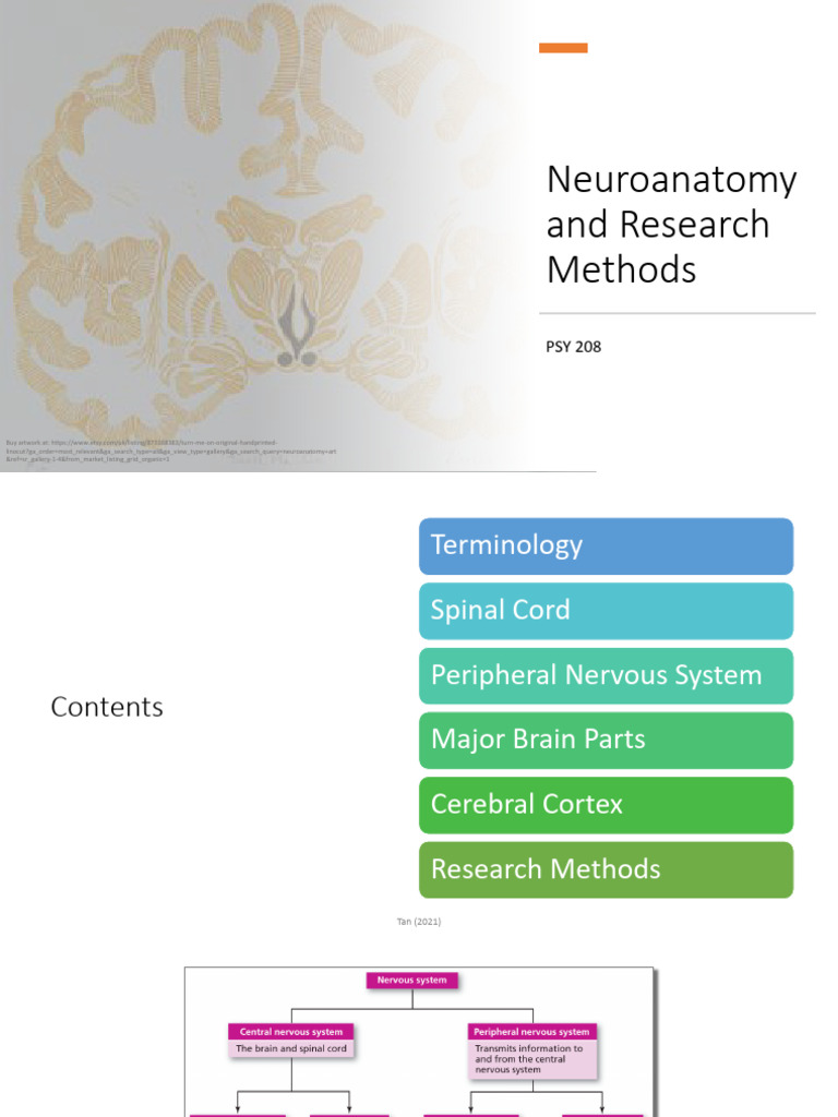 Neuroanatomy and Research Methods Overview | PDF | Anatomical Terms Of ...