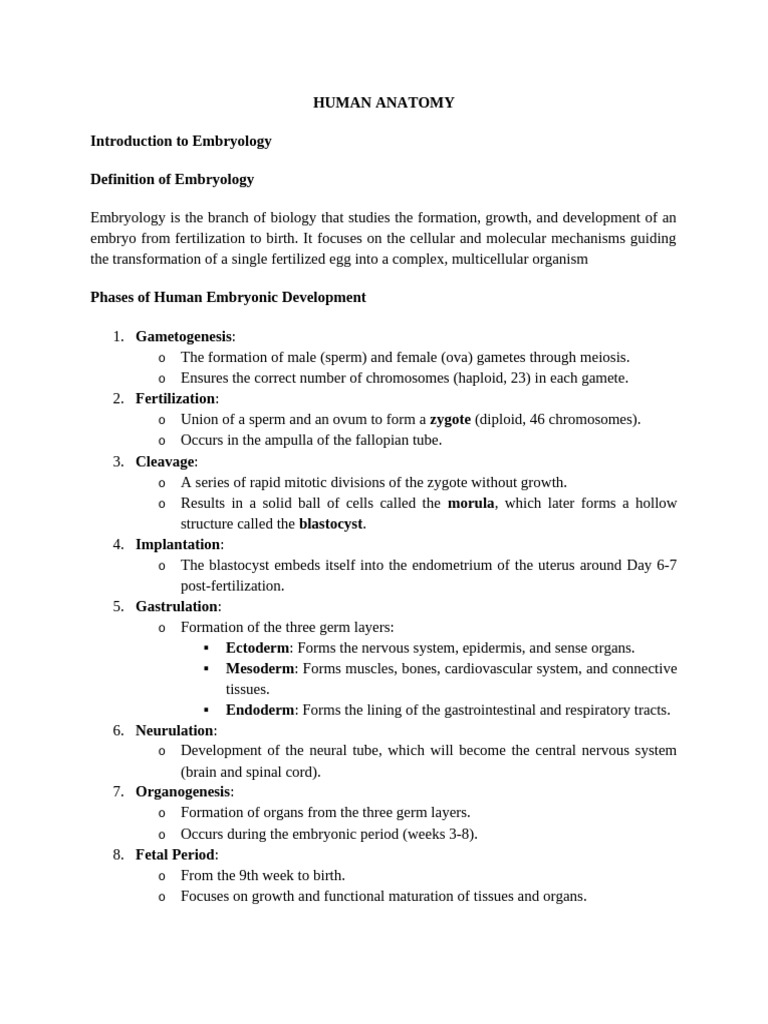 Human Embryology: Development Stages & Concepts | PDF | Embryo ...