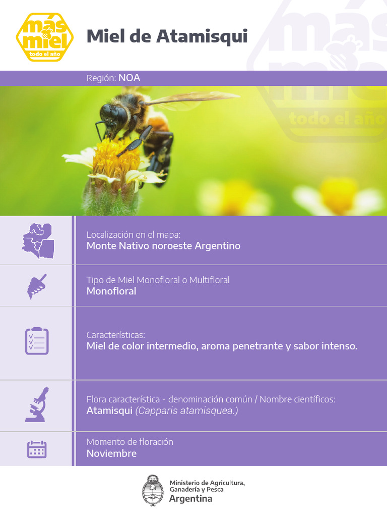 Miel de Atamisqui - NOA | PDF