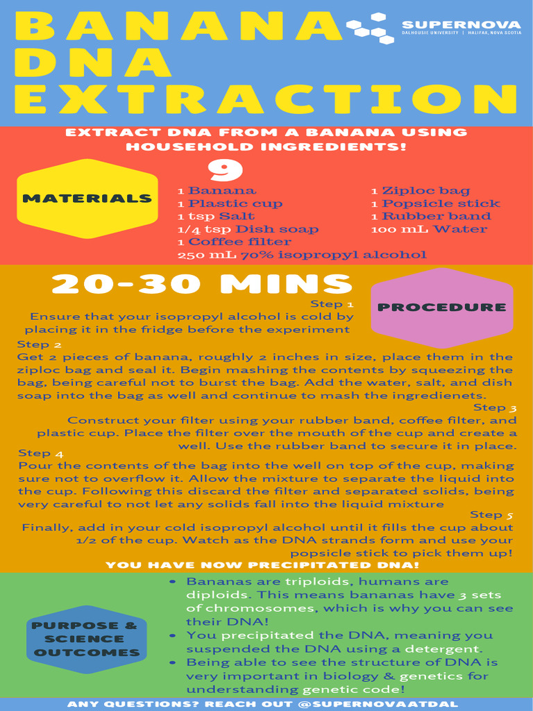 Banana Dna | PDF
