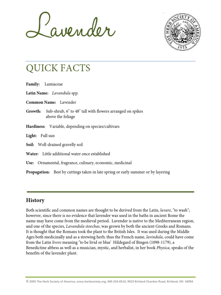 Quick Facts Lavender | PDF | Lavandula | Botany