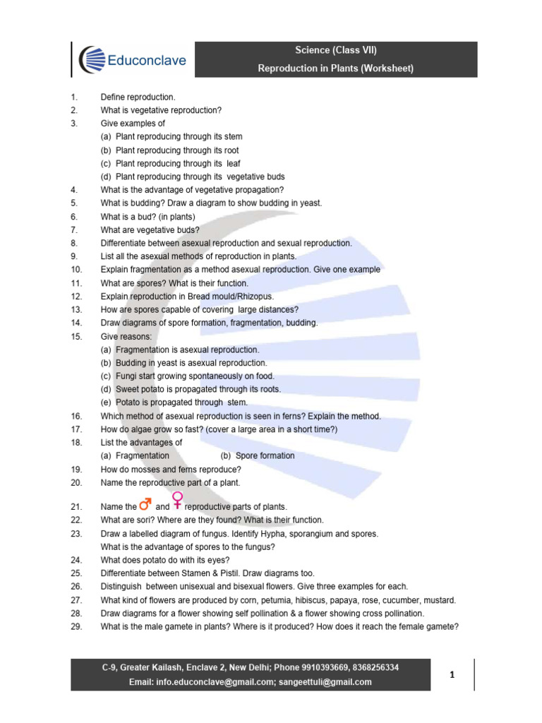 Class 7 Science Worksheet Reproduction in Plants | PDF | Flowers ...