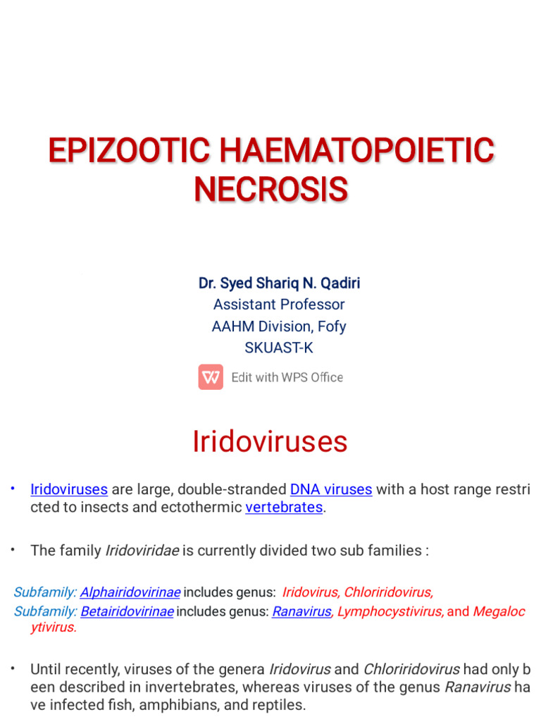 Understanding Epizootic Haematopoietic Necrosis | PDF | Virus | Virology
