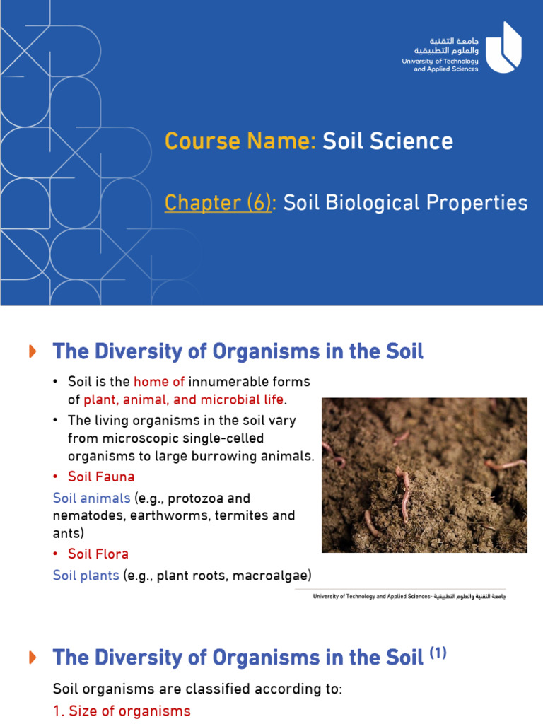 Chapter 6 Soil Biological Properties | PDF | Soil | Fauna