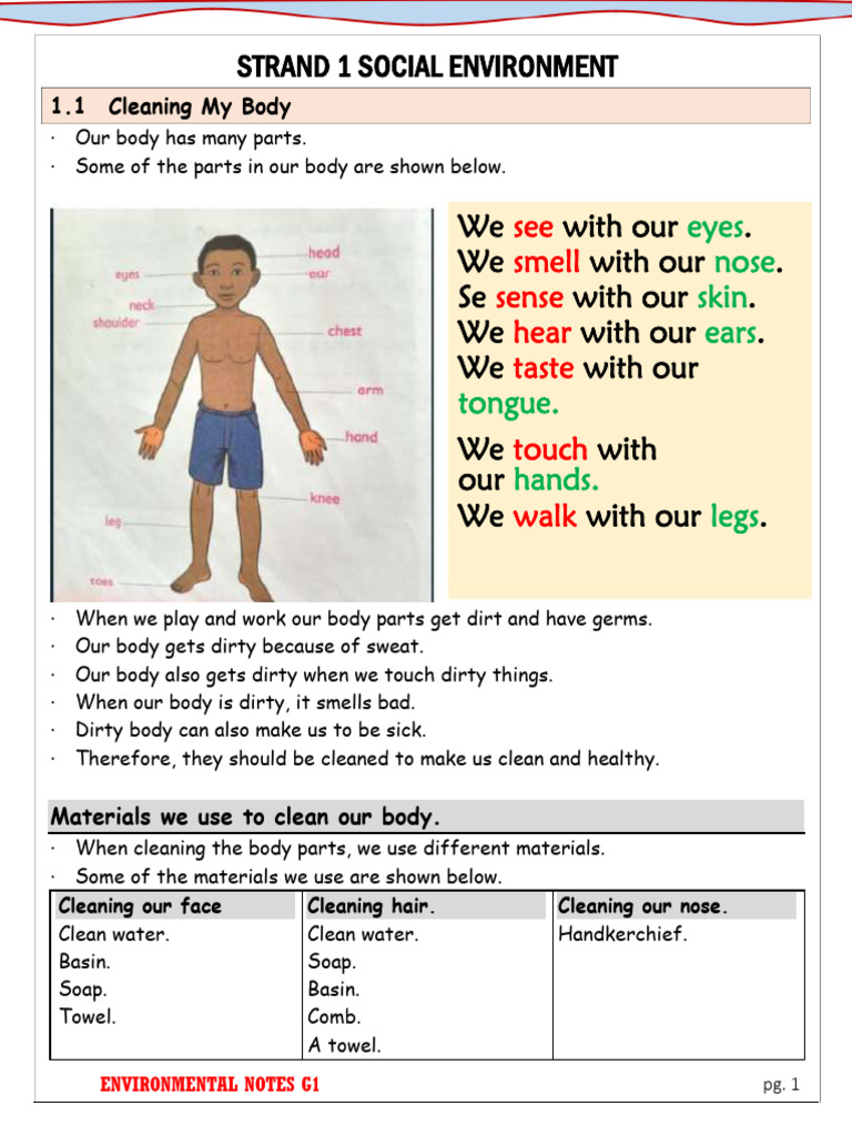 Grade 1 Environmental Hygiene Notes | PDF | String Instruments | Oral ...