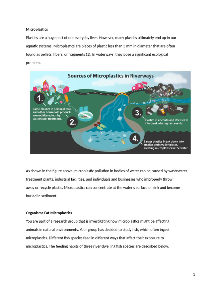 Microplastics Graphing Pre-Lab Assignment-1 | PDF