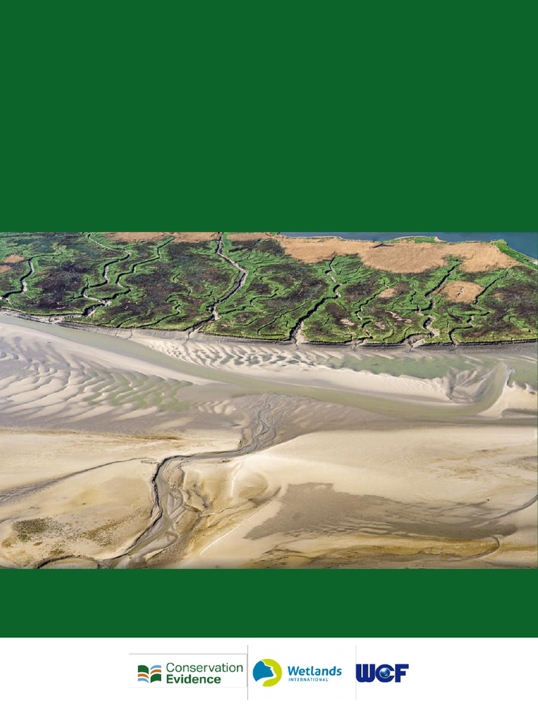 Salt Marsh and Tidal Flat Restoration Guide | PDF | Coast | Marsh