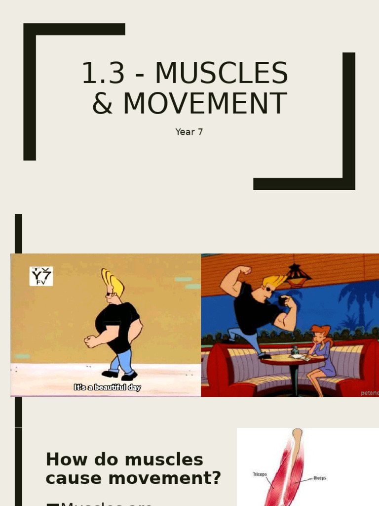 Muscles and Movement Explained | PDF