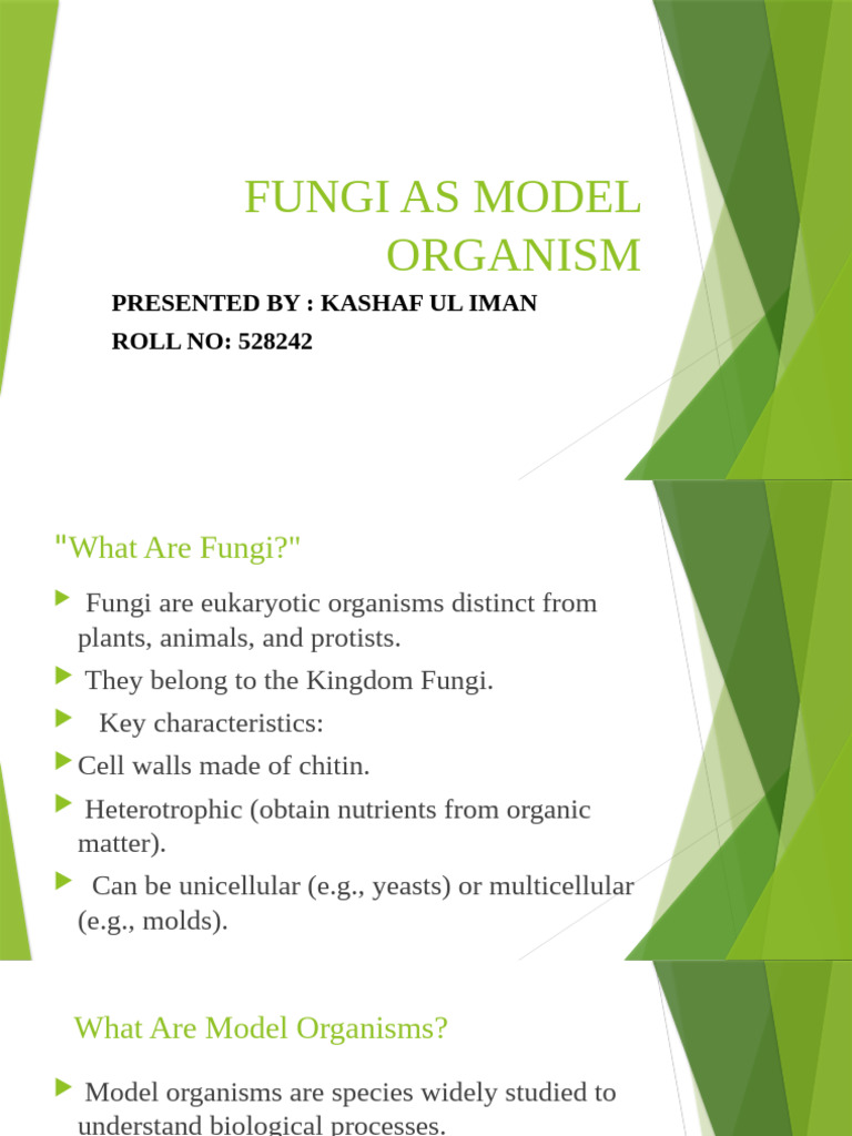 Fungi As Model Organism | PDF | Fungus | Organisms