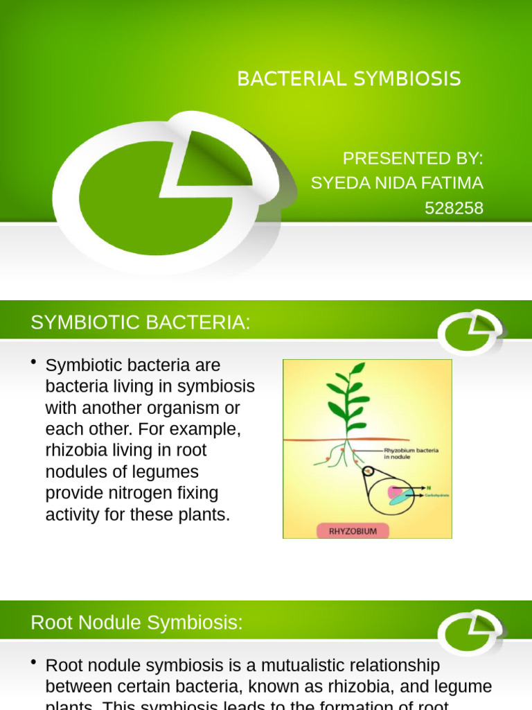 Understanding Bacterial Symbiosis | PDF | Bacteria | Symbiosis