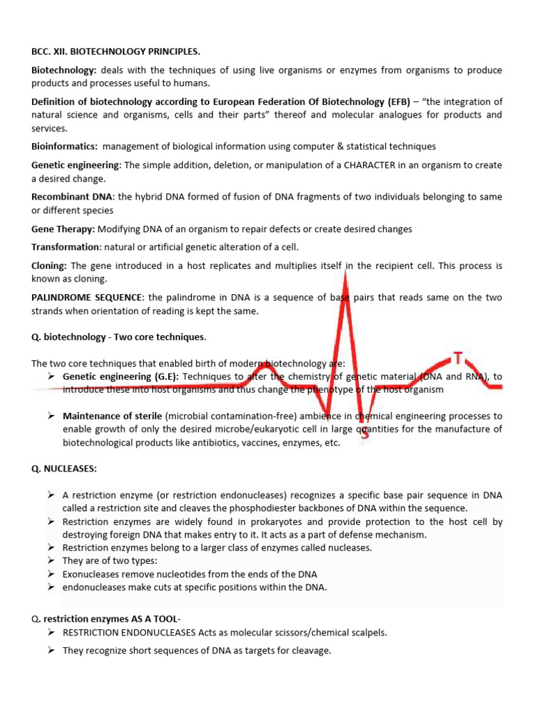 Biotech Princi Notes | PDF | Molecular Cloning | Restriction Enzyme