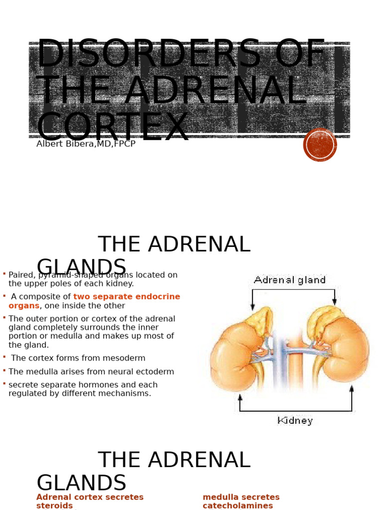 Disorders of the Adrenal Cortex | PDF | Adrenal Gland | Cortisol