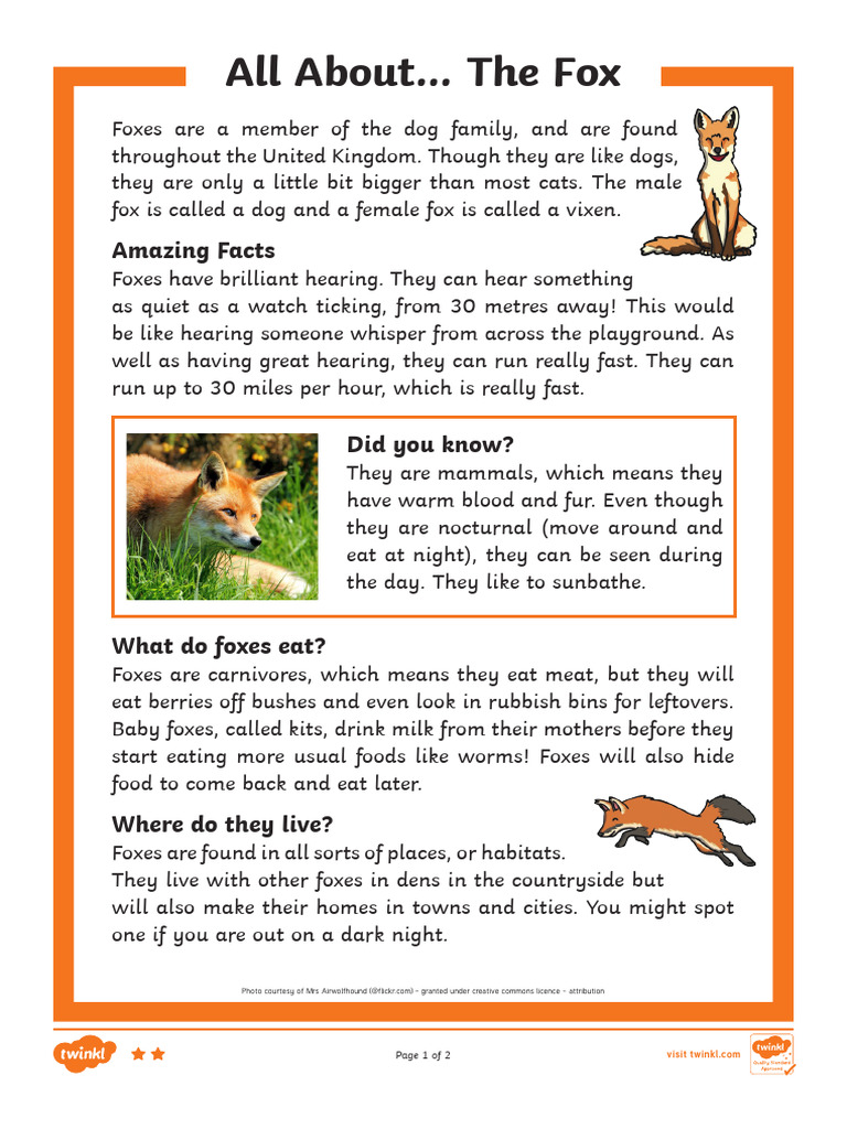 All About Foxes Reading Comprehension | PDF | Fox | Mammals