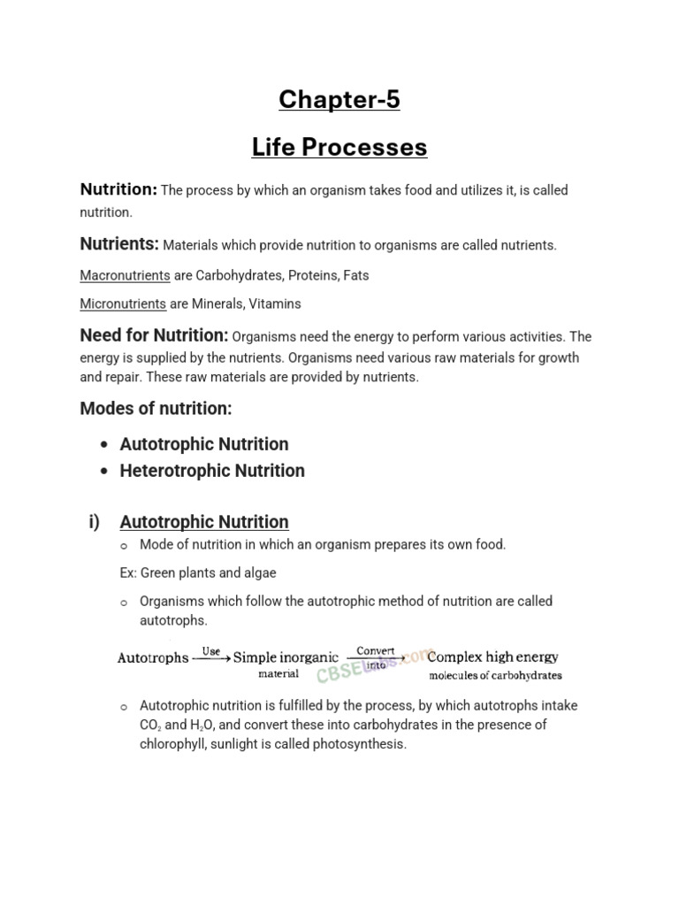 Chapter-5 Life Processes | PDF | Cellular Respiration | Digestion