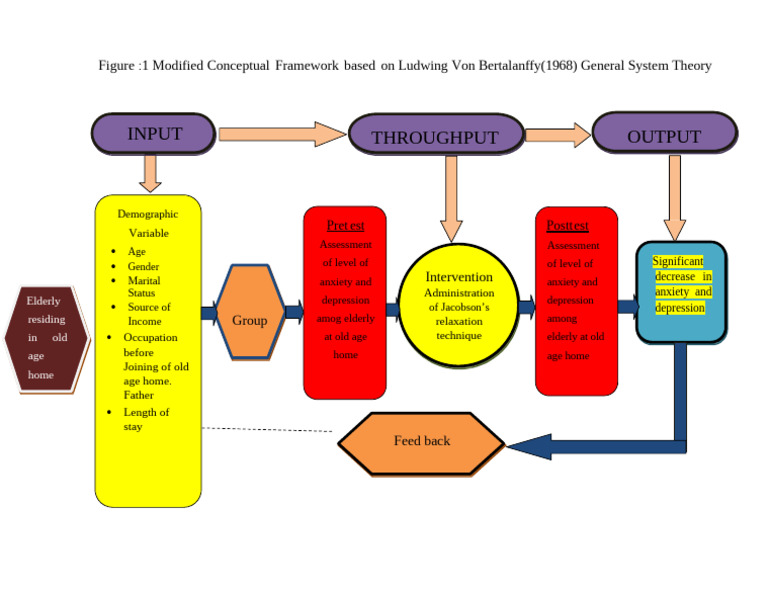 Figure Conceptual Framework | PDF