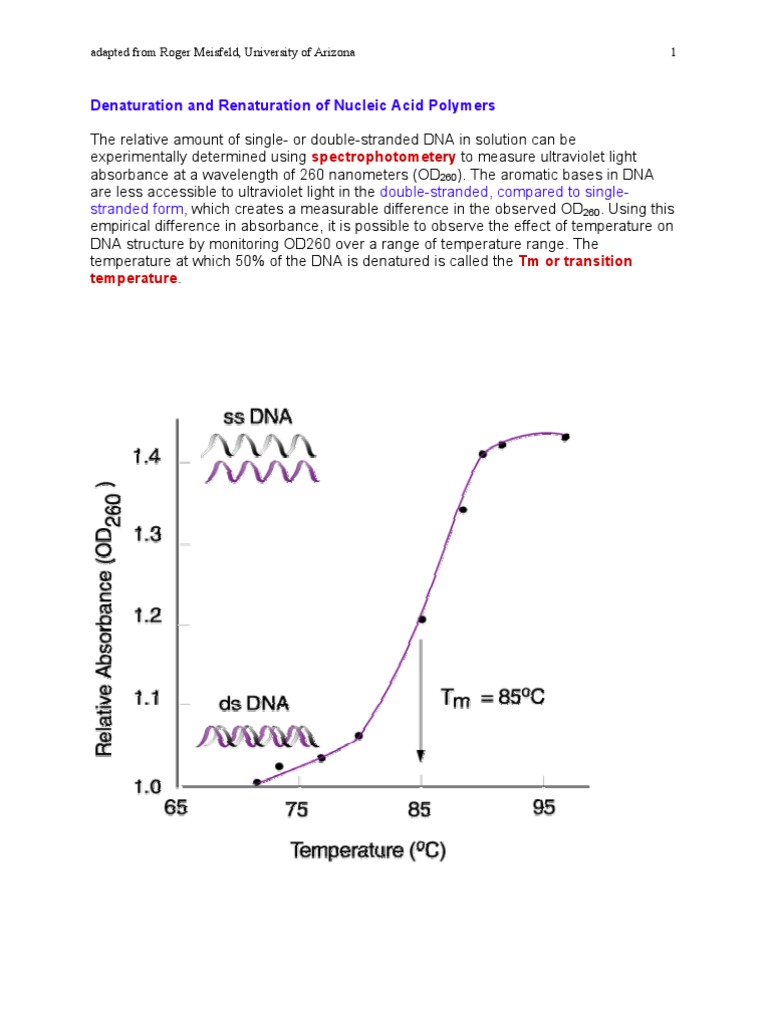 Cot Curve Analysis in DNA Hybridization | PDF | Denaturation ...