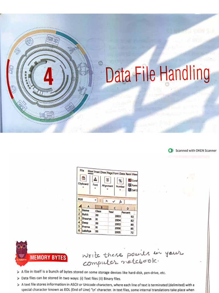 Class 12 - Assignment 5 - Unit 4 - Data File Handling | PDF