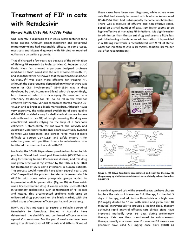 Treatment of FIP With Remdesevir - Final | PDF | Medical Treatments ...