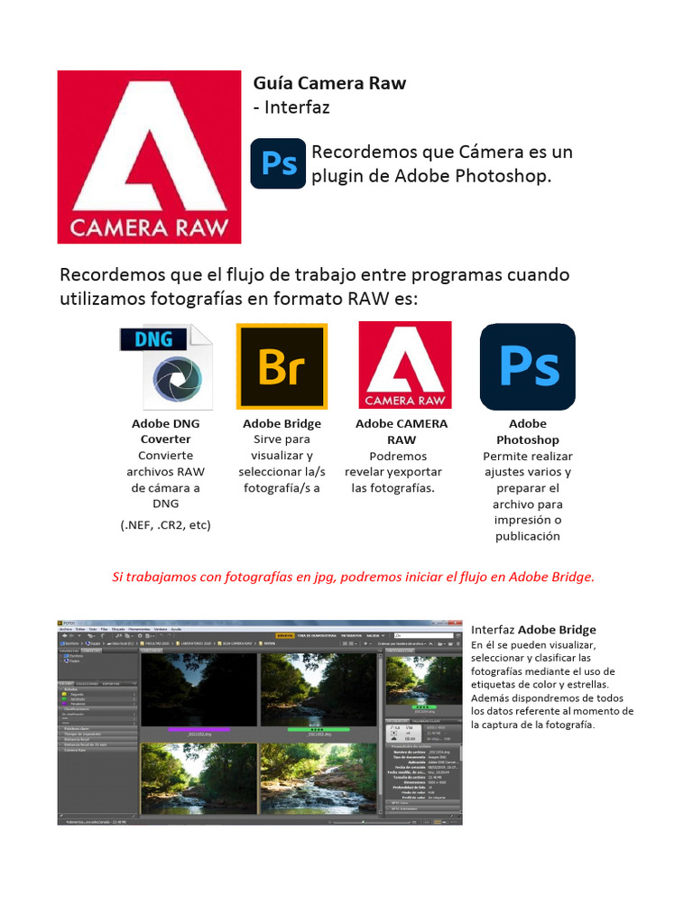Guía de Uso de Adobe Camera Raw | PDF | Formato de imagen sin procesar ...