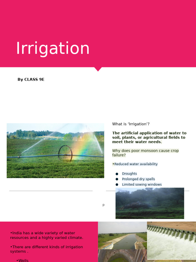 Biology - Class 9e - Vaishnavi | PDF