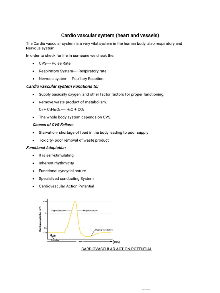 Cardio Vascular System (CVS) - 1 | PDF